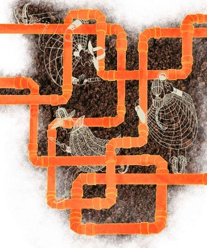 Felicia Fortes Illustration – Felicia Fortes, illustrator based in ...