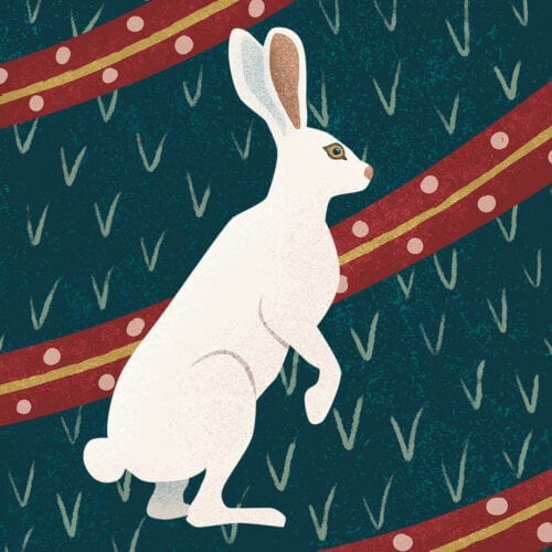 Felicia Fortes Illustration – Felicia Fortes, illustrator based in ...