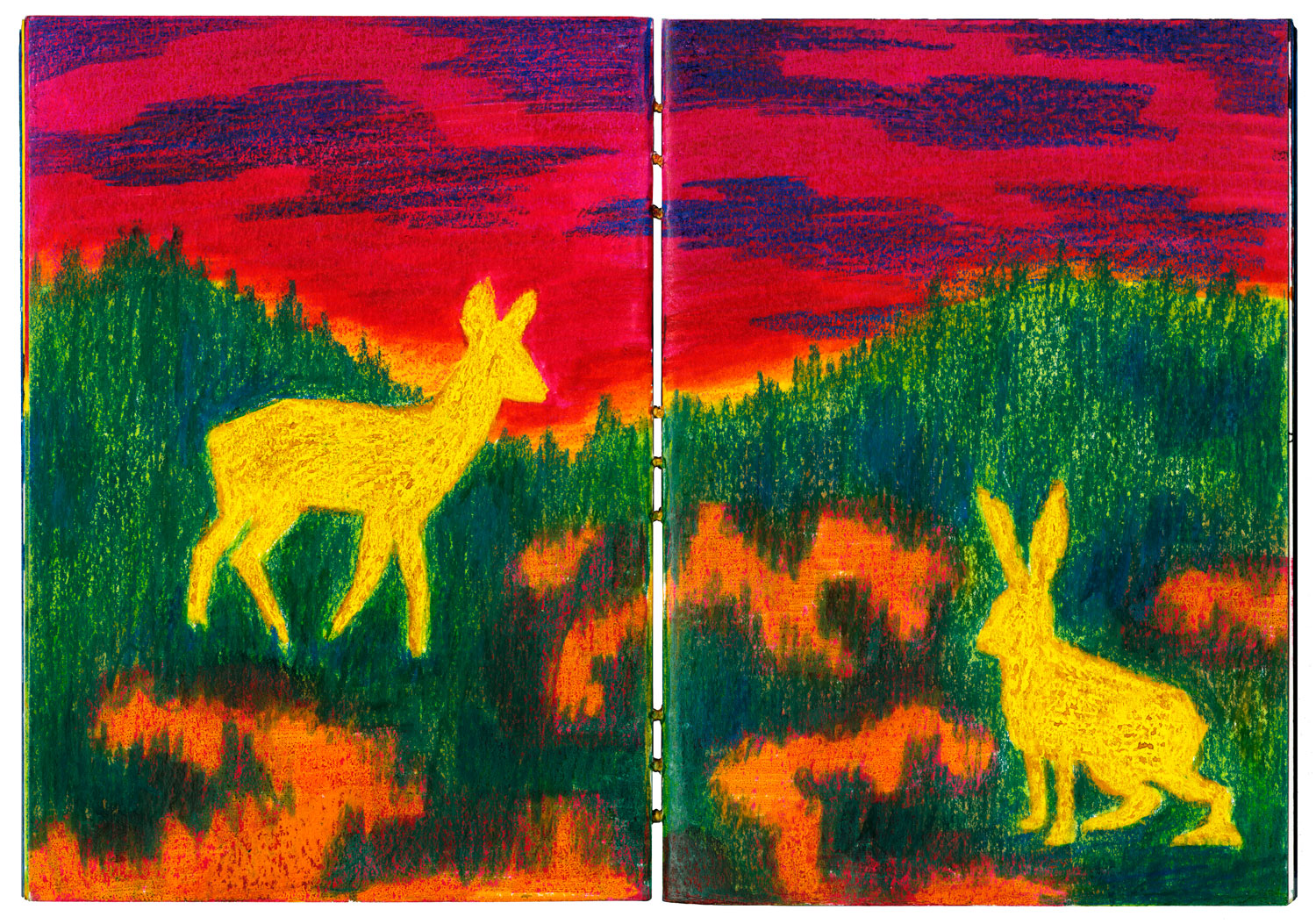 Fortes' Fauna | Felicia Fortes Illustration